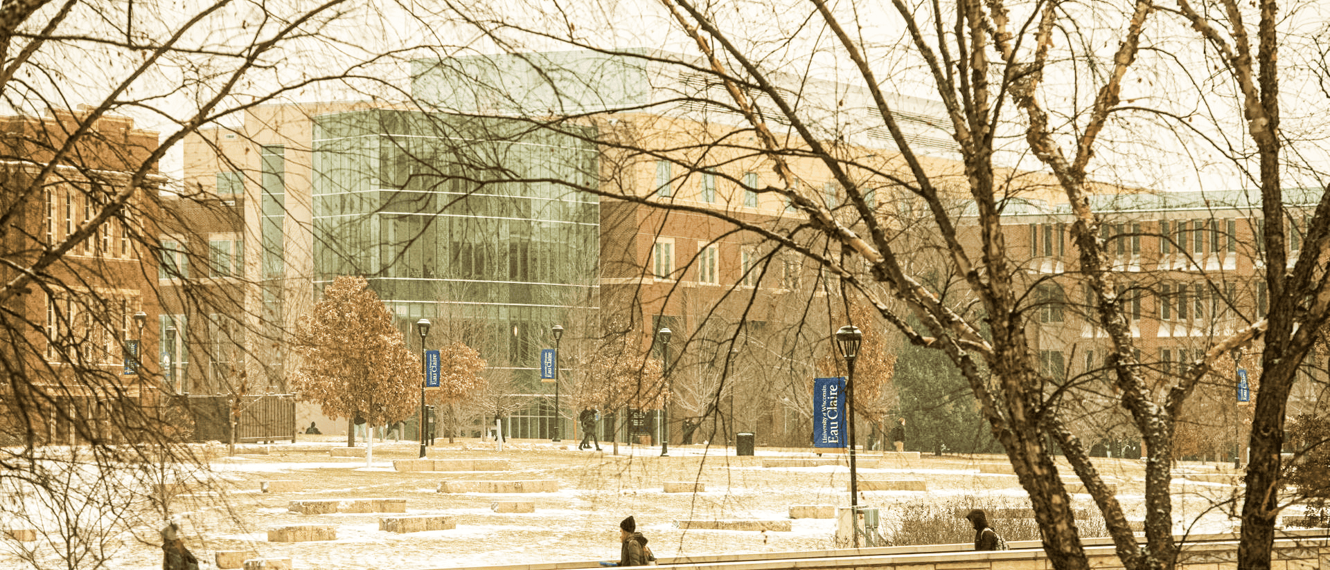 UWEC to offer new major in professional studies - The Business News