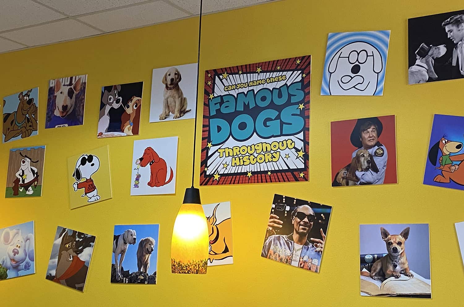 The Dawg House: A spot for the whole family - The Business News