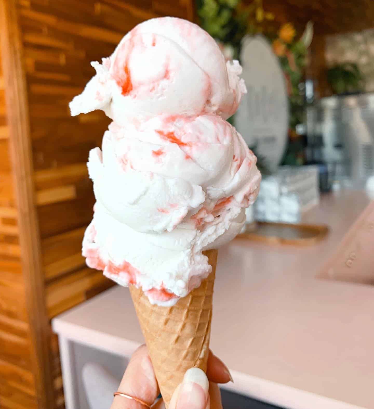 KOKOS Plant Based Ice Cream opens Door County location - The Business News