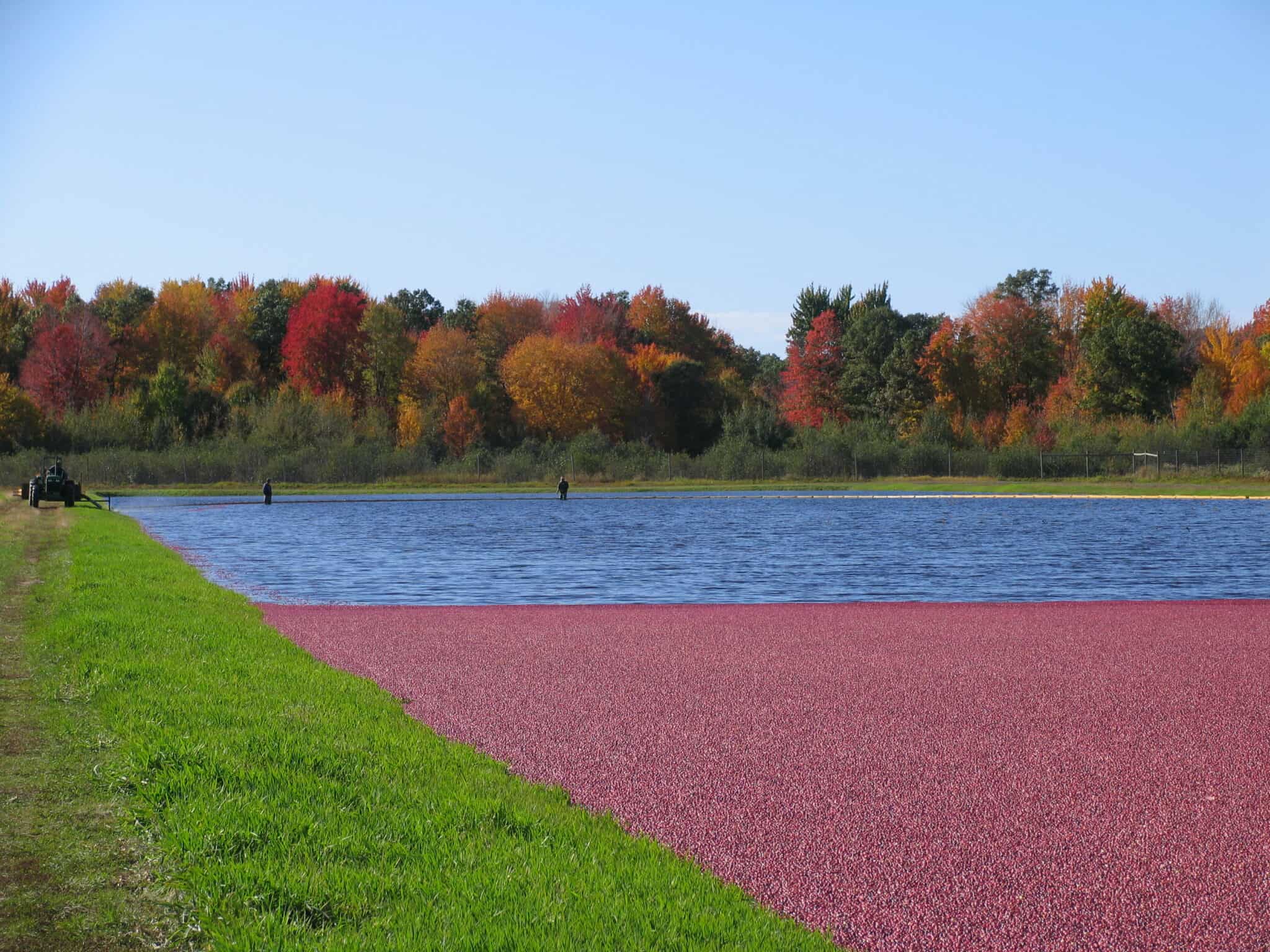 Gundersen, Bellin move forward with new name - The Business News