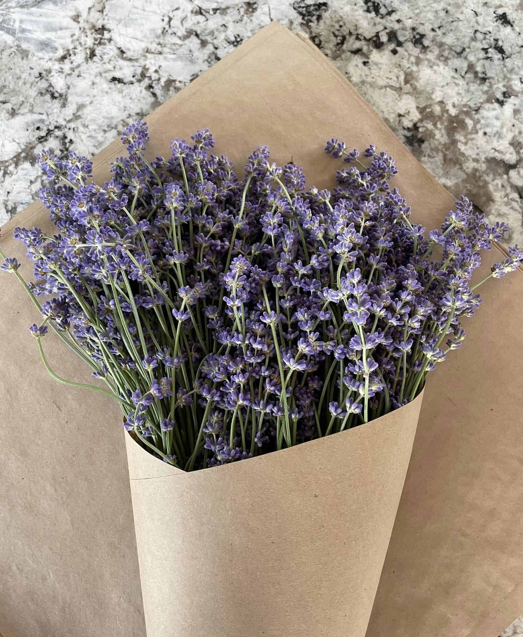 Pondview Lavender Farm: A budding business - The Business News