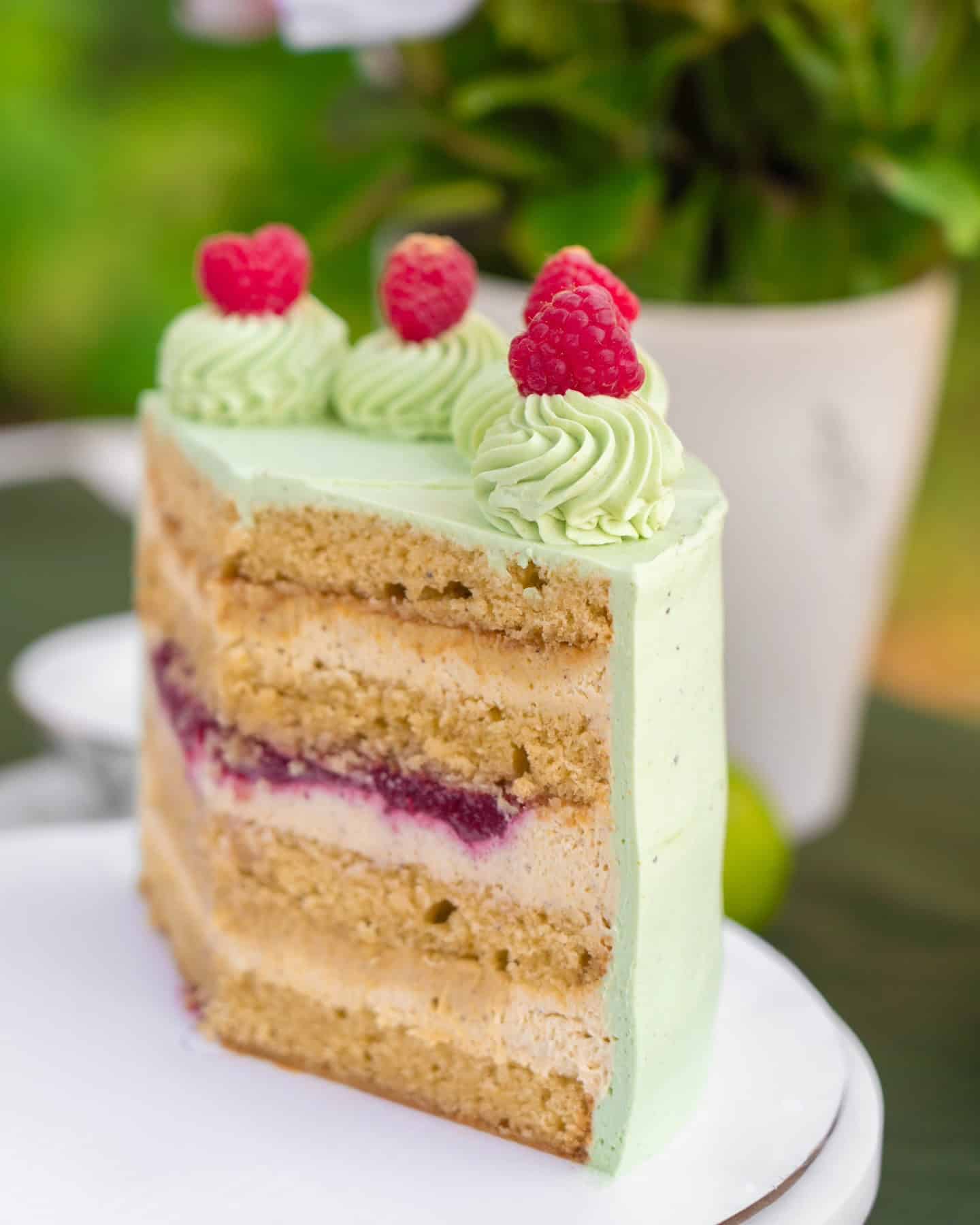 ‘A place where every piece of cake tells a story’ - The Business News