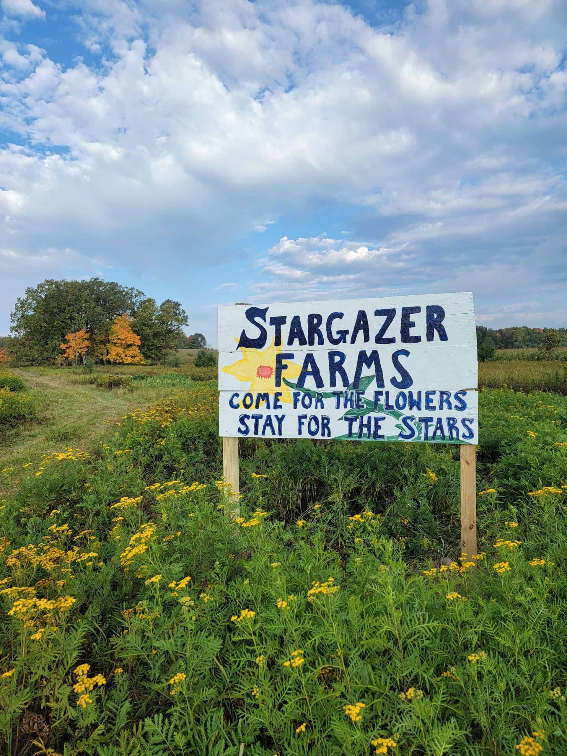 ‘Come for the flowers, stay for the stars’ - The Business News