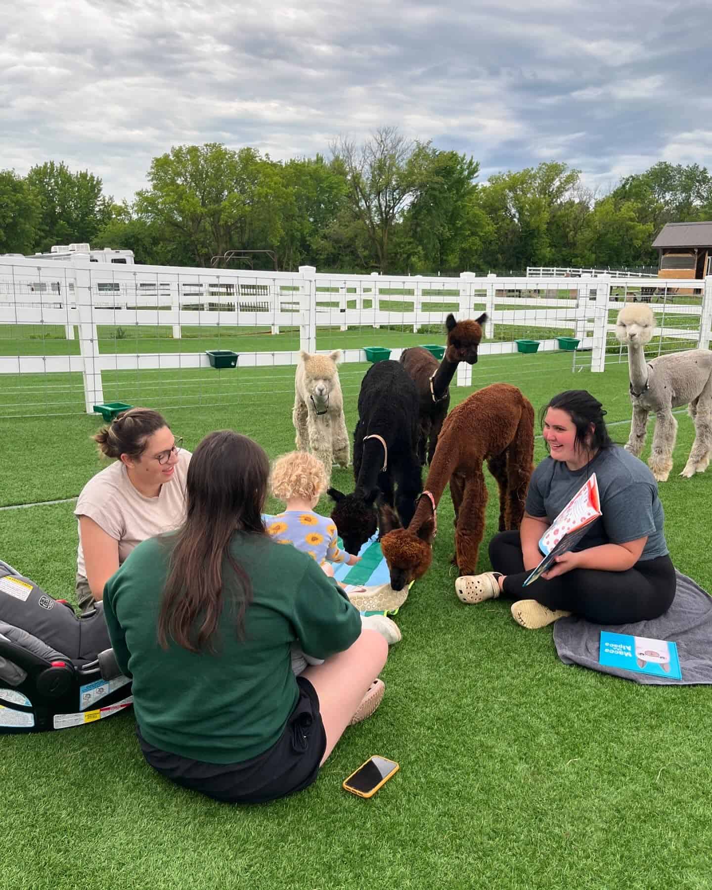 A menagerie of alpacas, llamas, porcupines, more - The Business News
