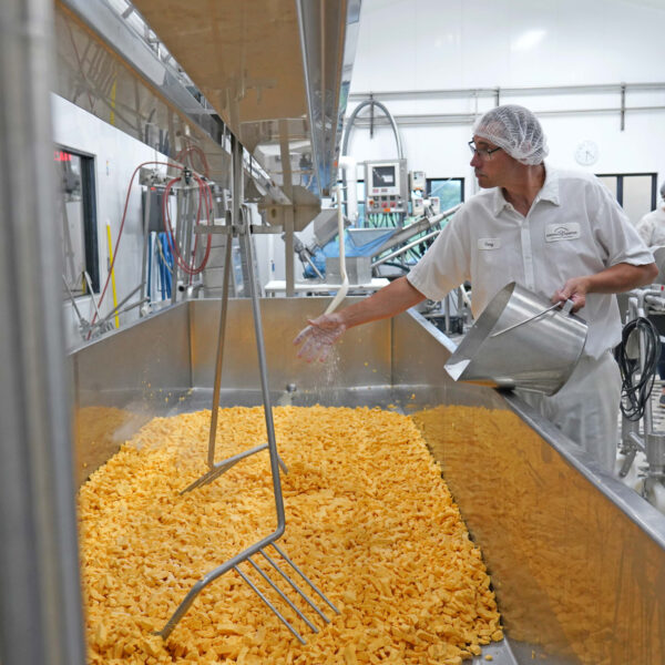 Local cheesemaker takes home state fair’s top prize for cheese curds ...