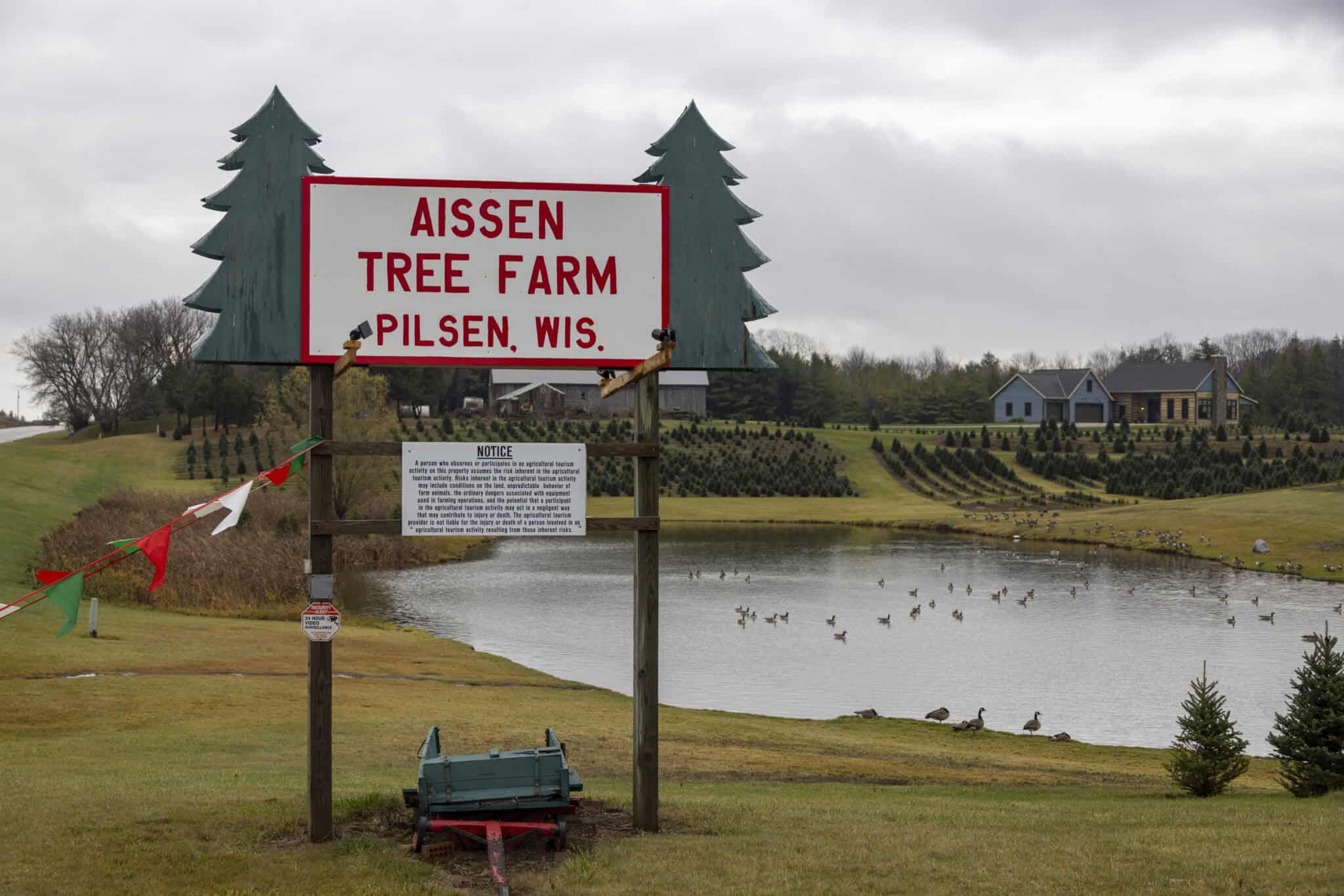 The Aissen Tree Farm celebrates 35 years in business - The Business News