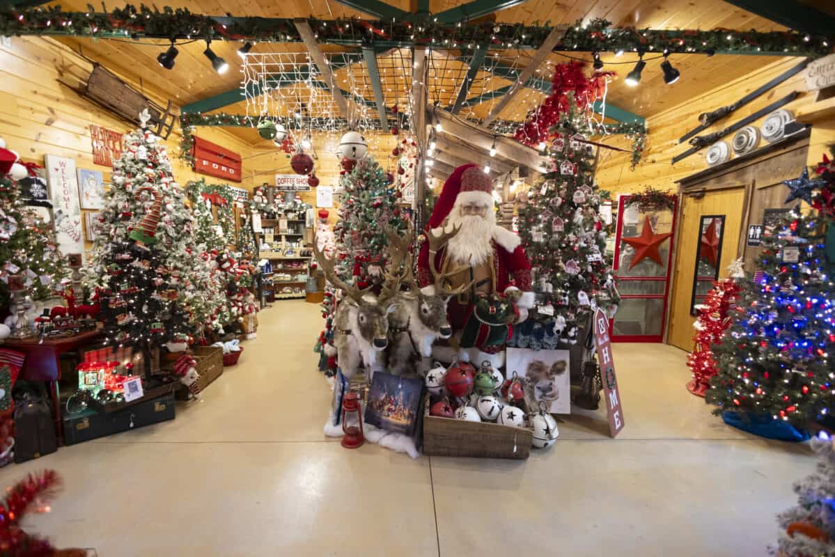 The Aissen Tree Farm celebrates 35 years in business - The Business News