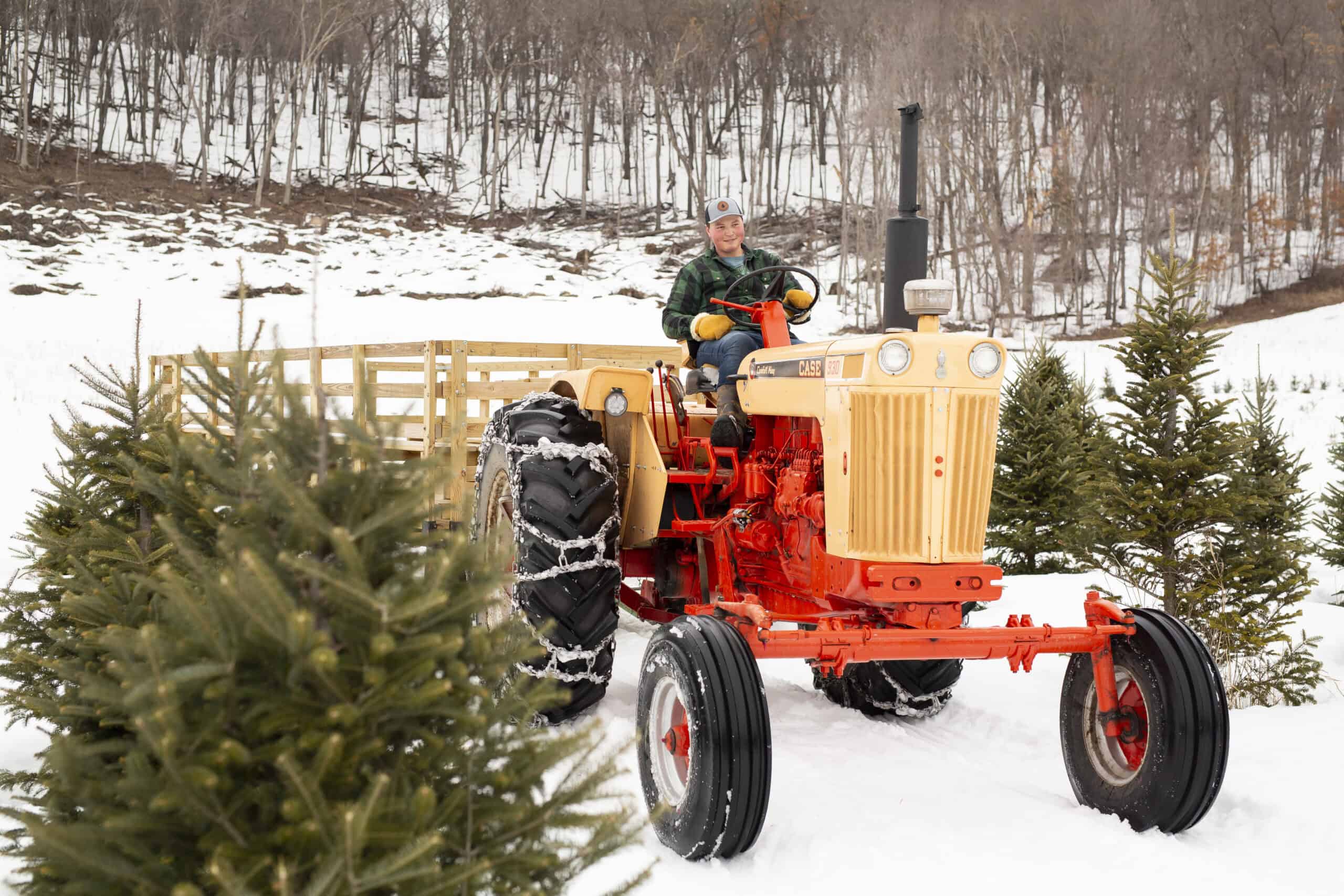 Multi-generational tree farm kicks off holiday season - The Business News