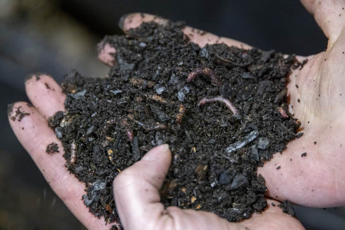 Local composting business is making a Ruckus in Stevens Point - The ...