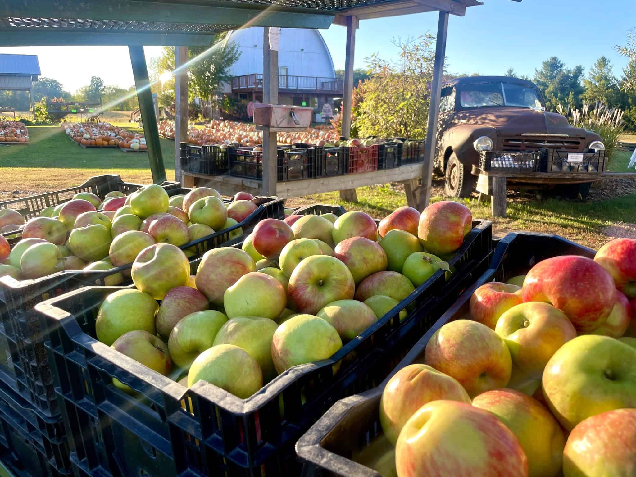 Pumpkins + apples + petting zoo + event space = Midwest Harvest Hills ...