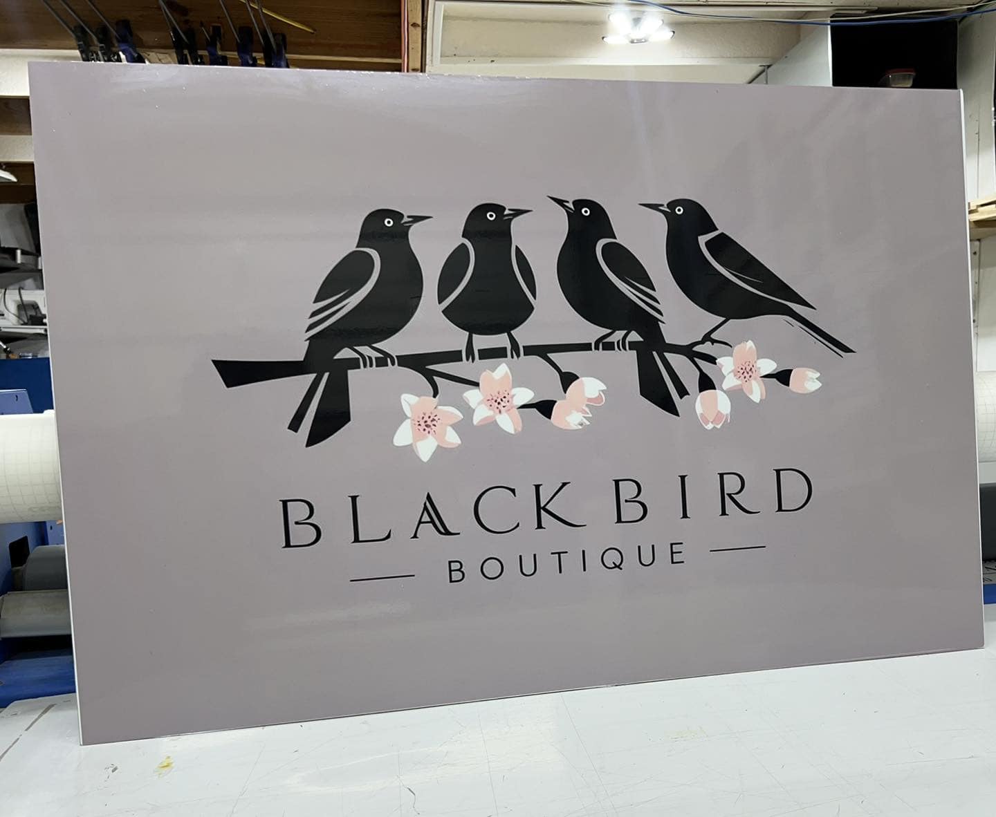 Blackbird Boutique takes flight in Oconto this spring - The Business News