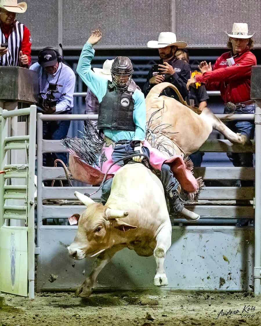 Bull-ieve me – the rodeo is coming to West Central Wisconsin - The ...