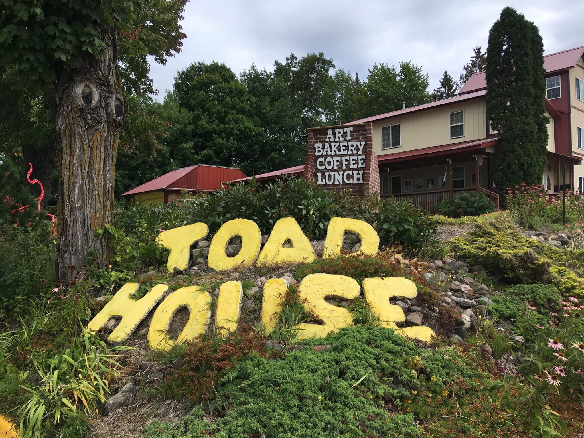 The Toad House: The friendly neighborhood coffee shop - The Business News