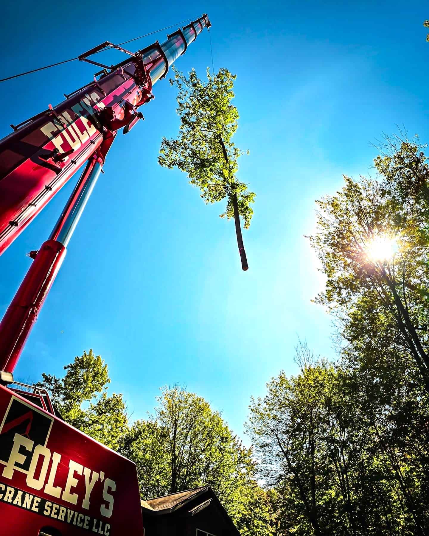 Timber! Foley’s Tree Service in Tomahawk finds niche - The Business News
