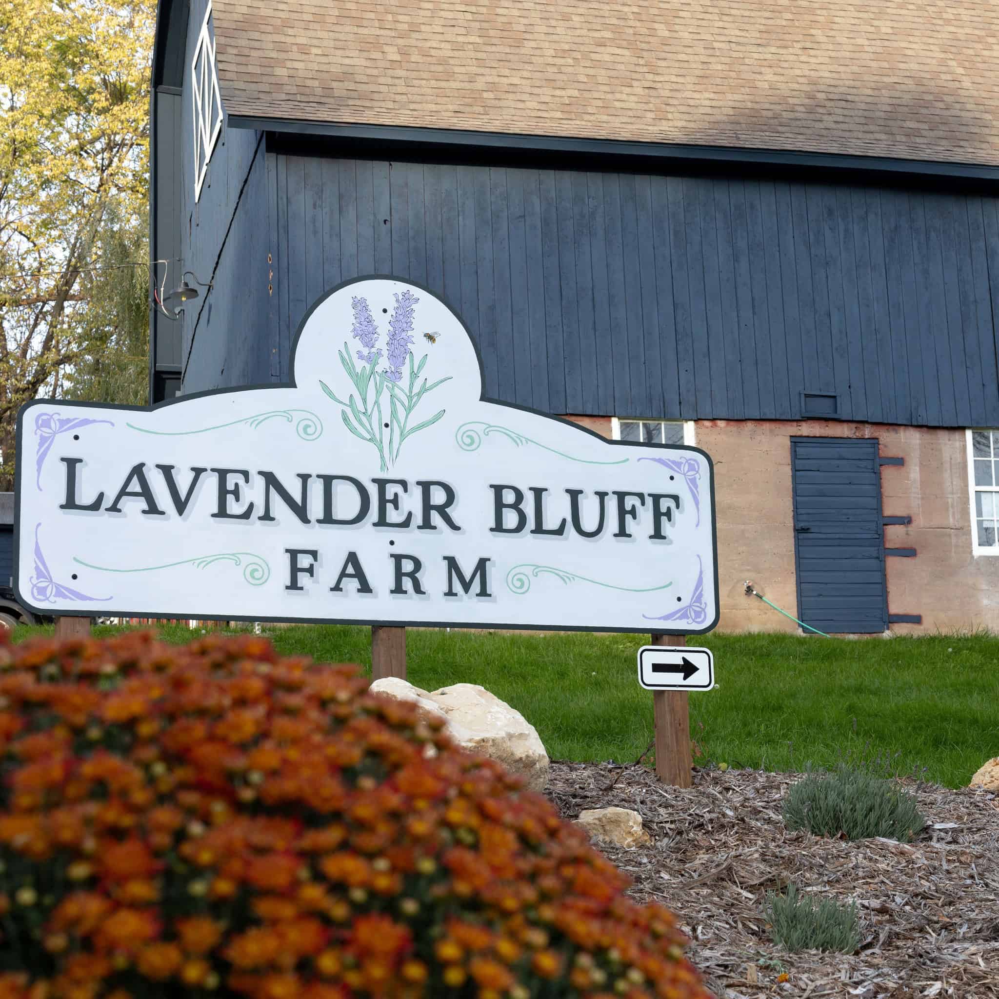 Stop and smell the lavender at Lavender Bluff Farm - The Business News