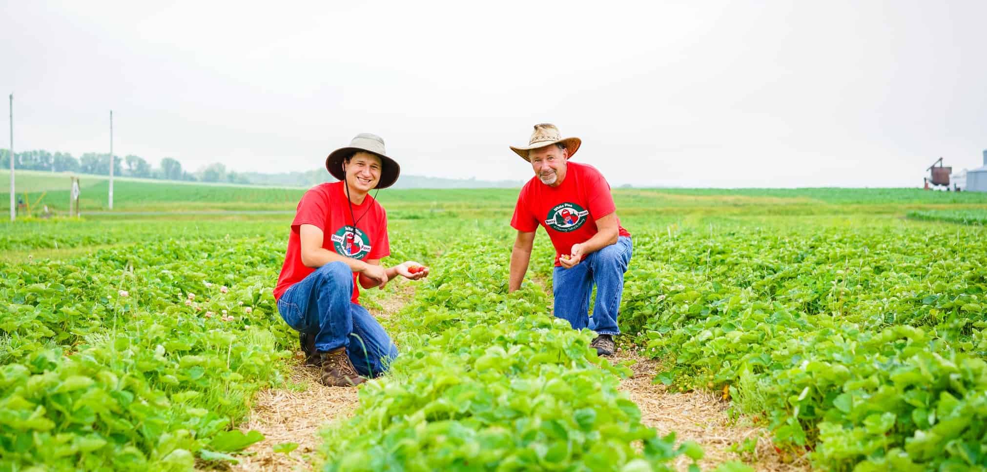 Strawberries are just the beginning at White Pine Berry Farm - The ...