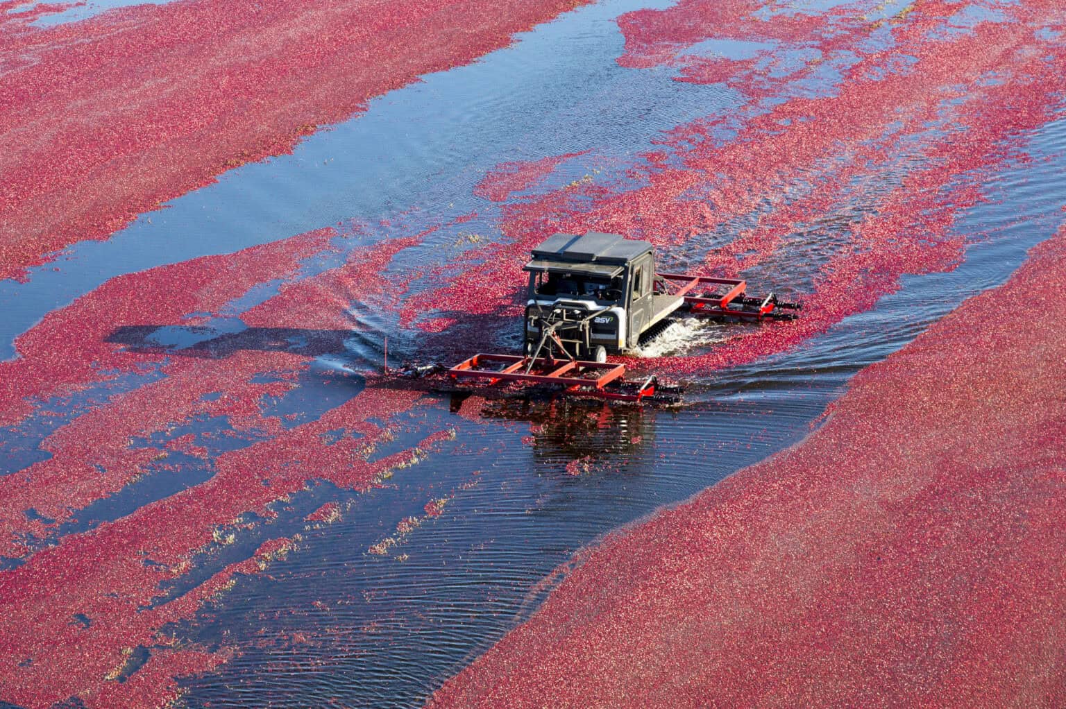 Catch us if you ‘cran’ - The Business News