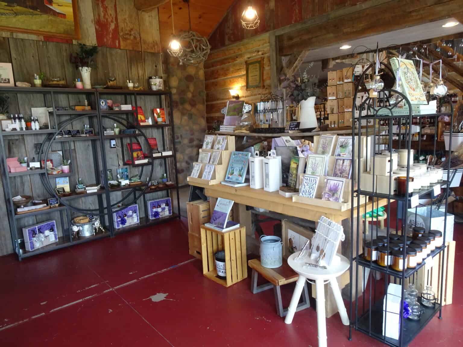 Kewaunee County lavender farm connects guests to nature through ...