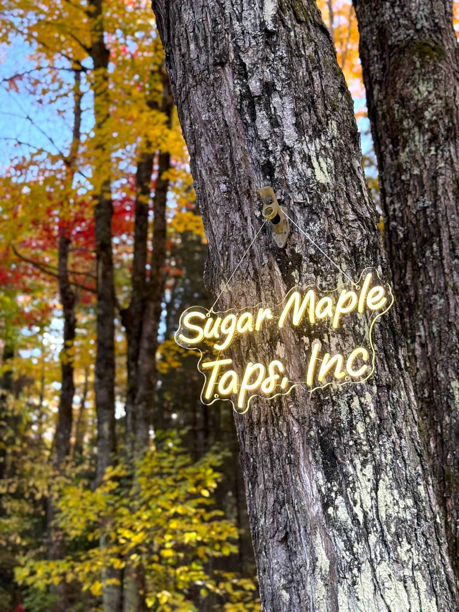 Mixing things up on the go - The Business News