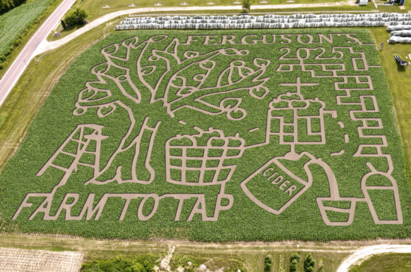 Ferguson’s Family of Farms celebrates decades-long legacy in western ...