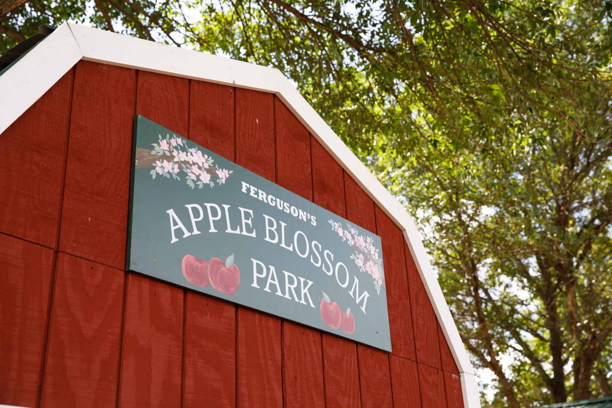 Ferguson’s Family of Farms celebrates decades-long legacy in western ...