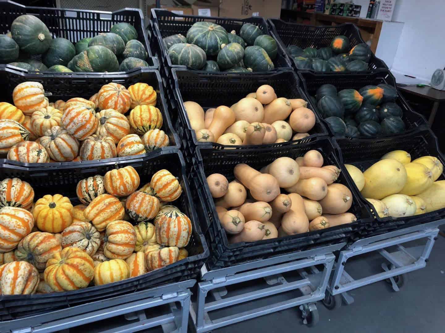 Wilfert Farms – where a willingness to change grows opportunity - The ...