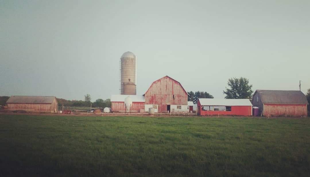 Lonely Oak Farm thrives as demand for local food grows - The Business News