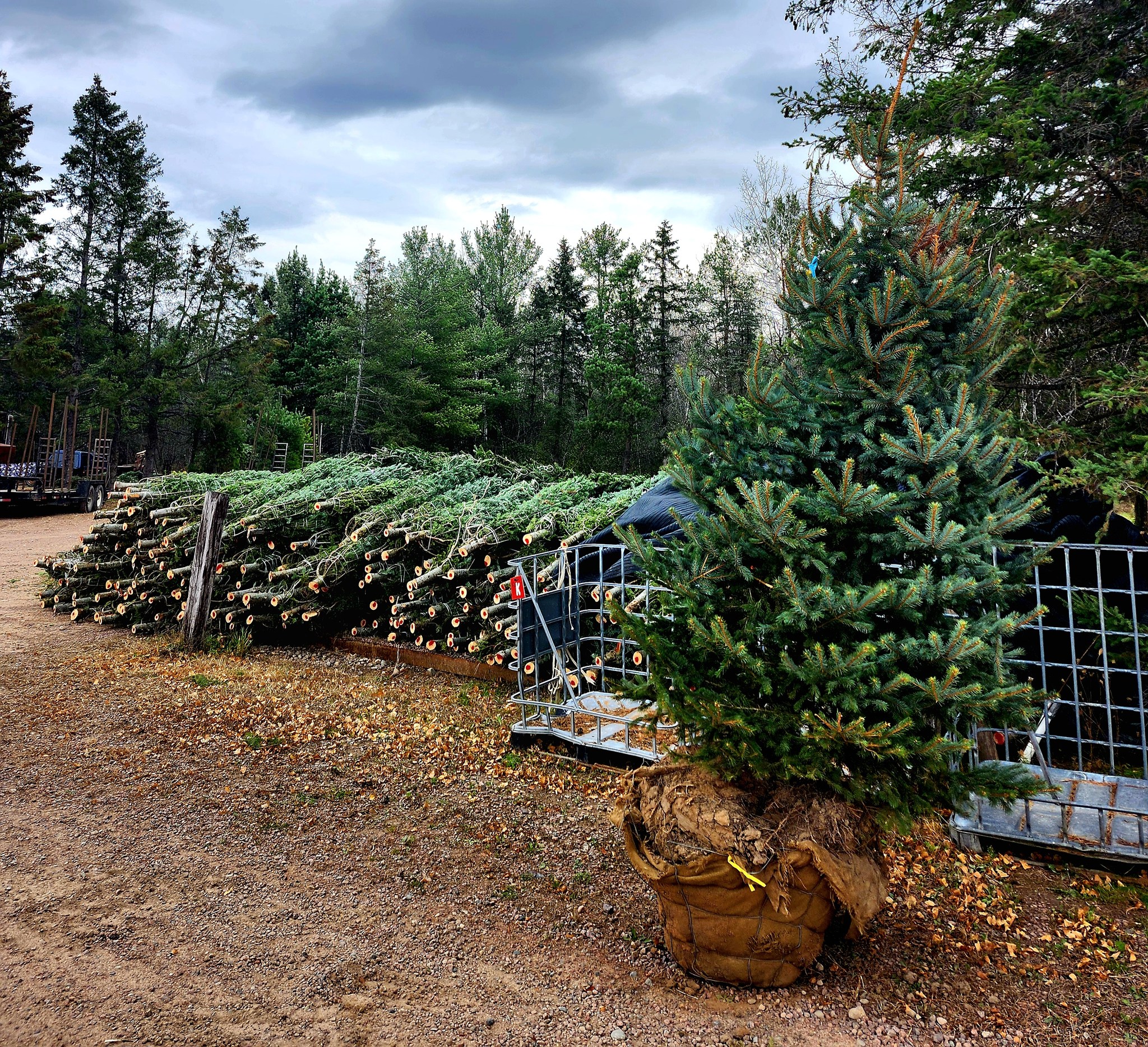 A family tradition since the 1960s - The Business News
