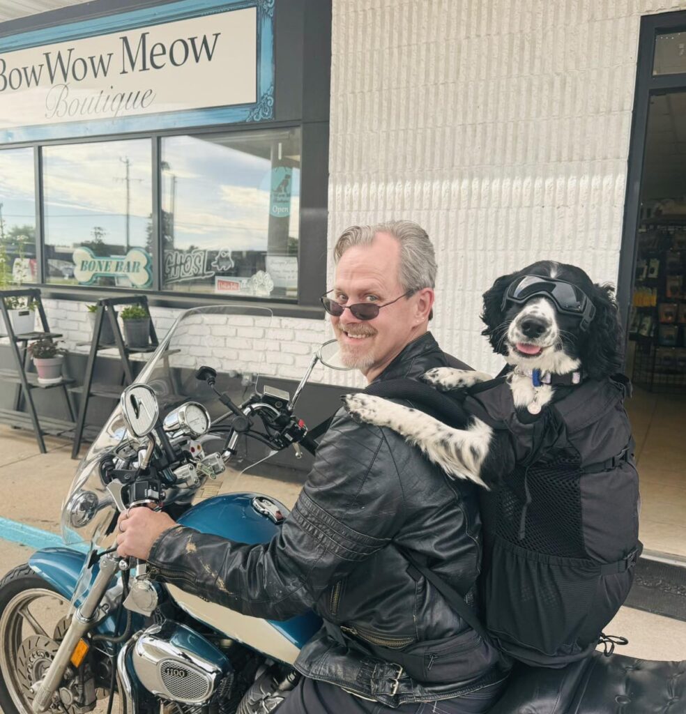 BowWow Meow redefining ‘philan-pet-ry’ - The Business News